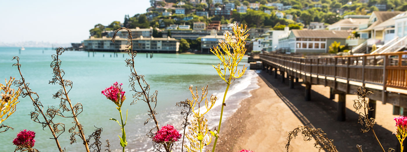 5 Bay Area Cities with the Best Beaches | Neighborhoods.com