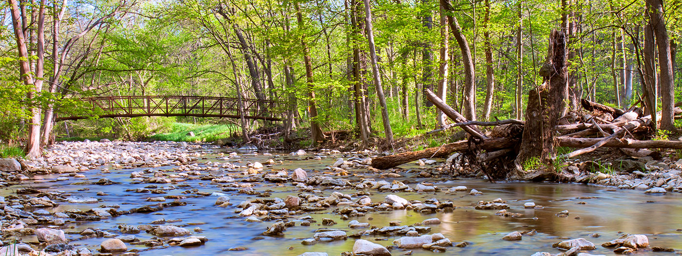 7 Places to Embrace the Great Outdoors in the Chicago Suburbs ...