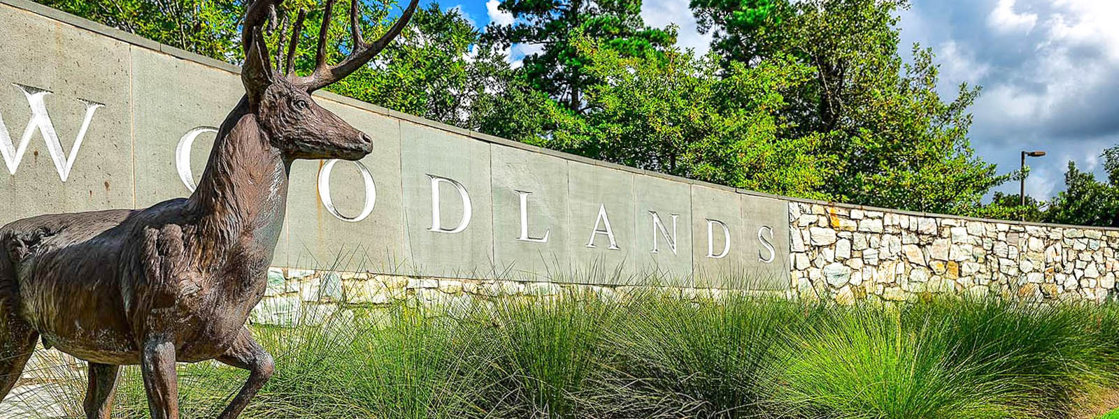 What It's Like Living in The Woodlands | neighborhoods.com