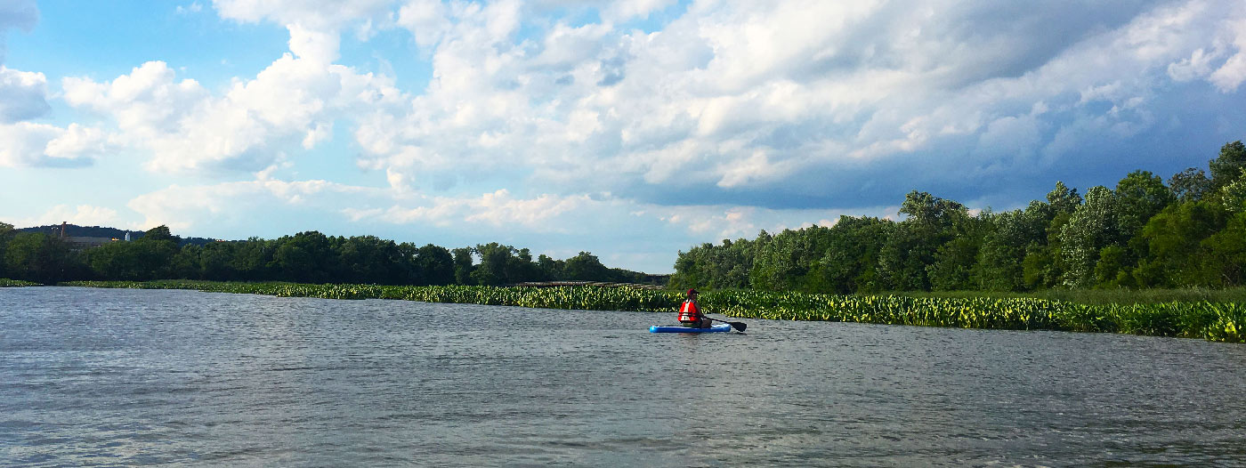 A Guide to Kingman Park, D.C.'s Newest Historic District ...