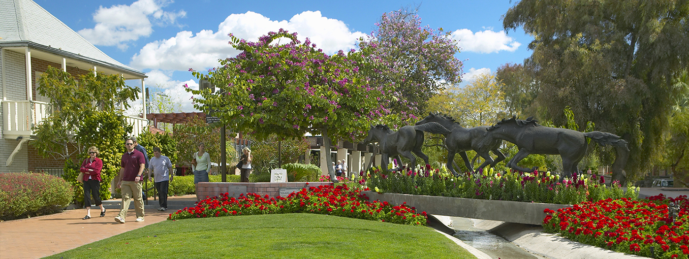 Take a Tour of the Phoenix Metro's Most Walkable Neighborhoods ...