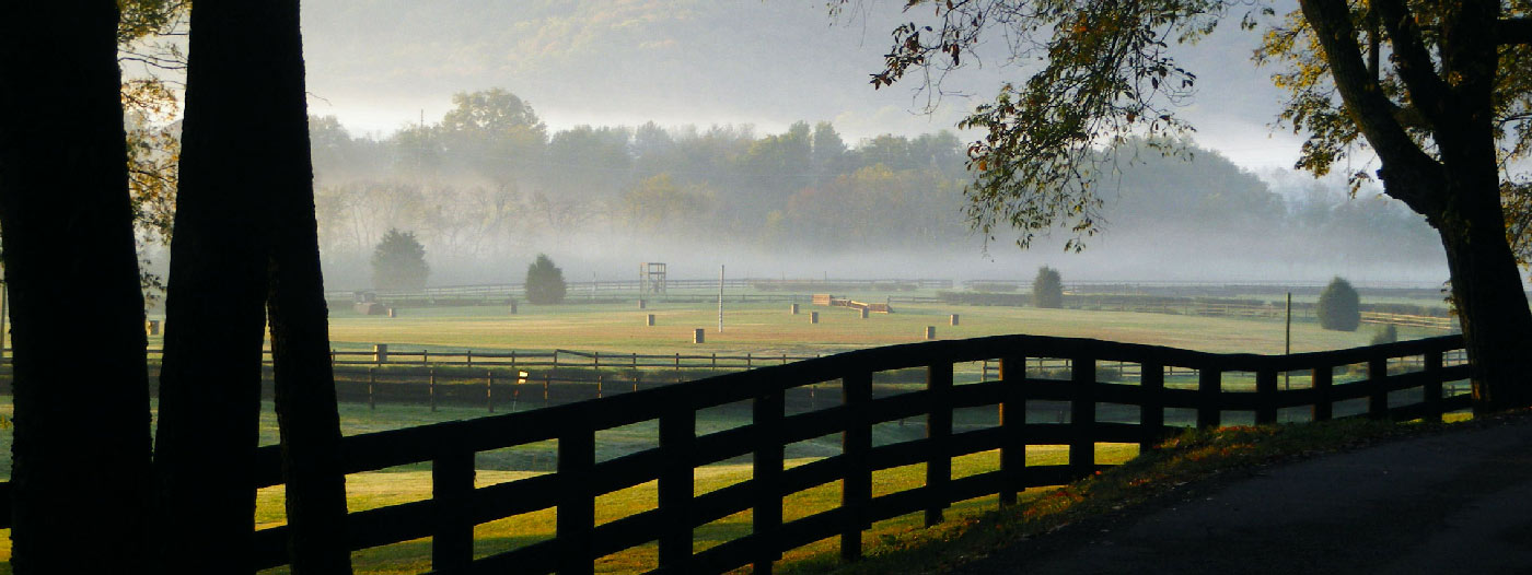 4 Reasons Bellevue is One of Nashville's Fastest-Growing Neighborhoods ...