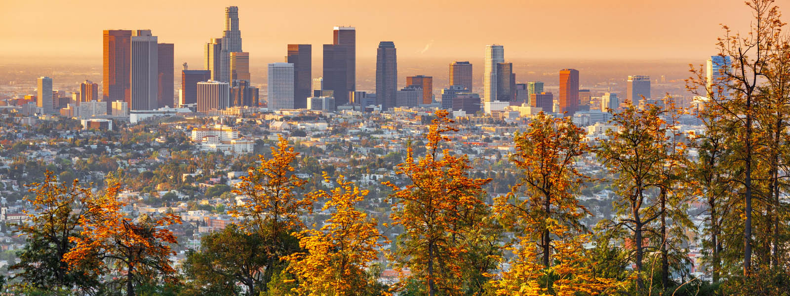 Where to Experience Fall in Southern California | neighborhoods.com