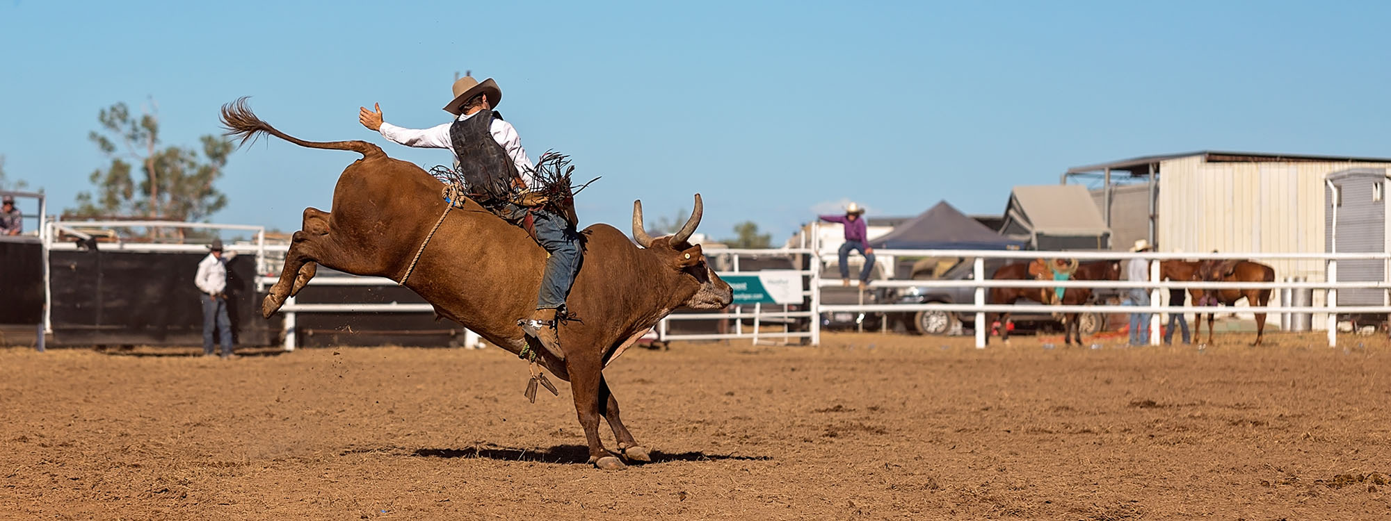 A First-Timer's Guide To Rodeo Austin | neighborhoods.com