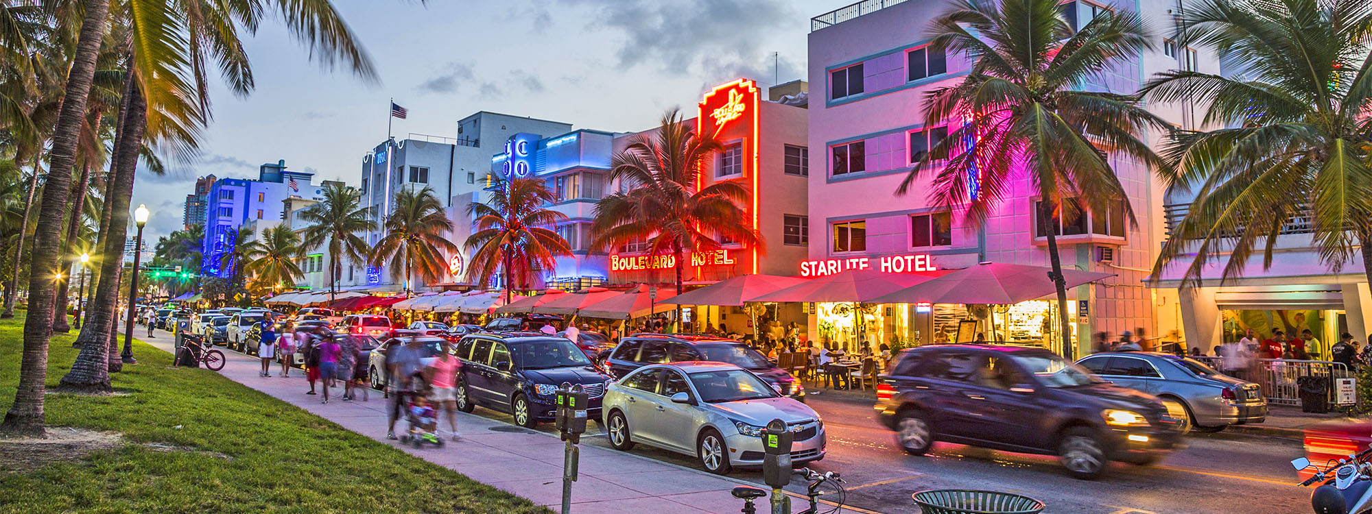 5 Miami Neighborhoods Vegans Will Love | neighborhoods.com