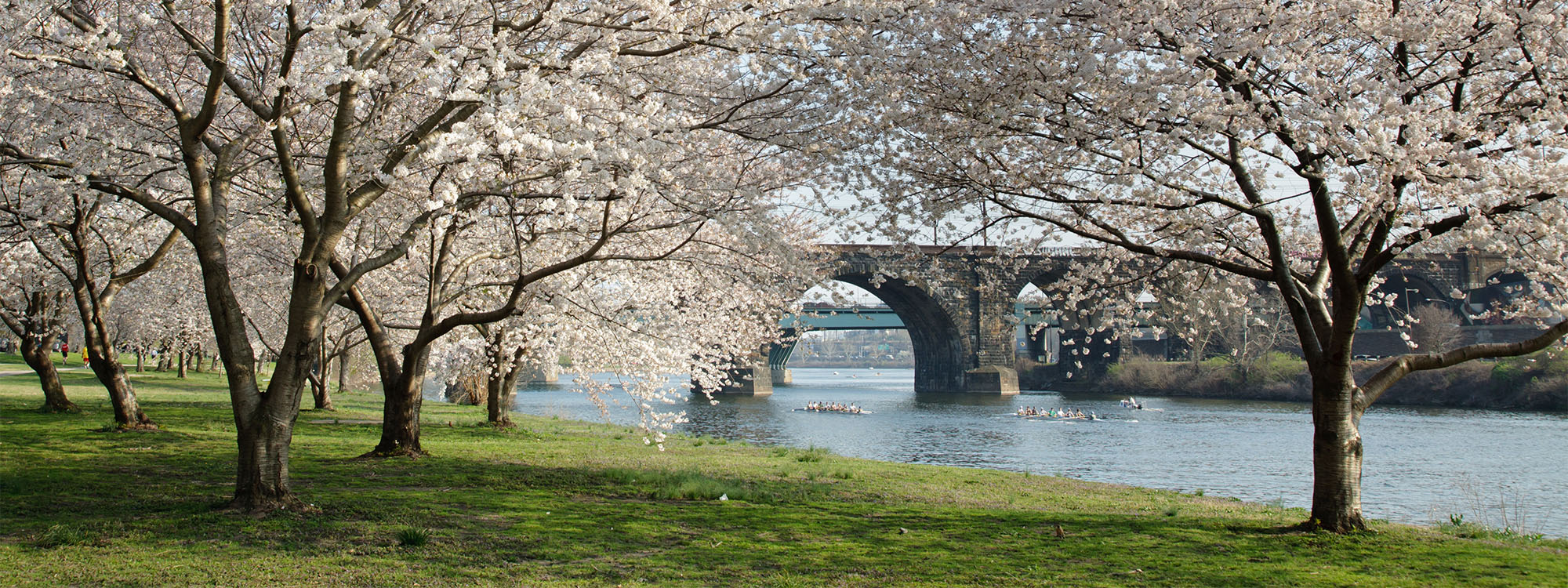 The Best Philadelphia Neighborhoods for Nature Lovers | neighborhoods.com