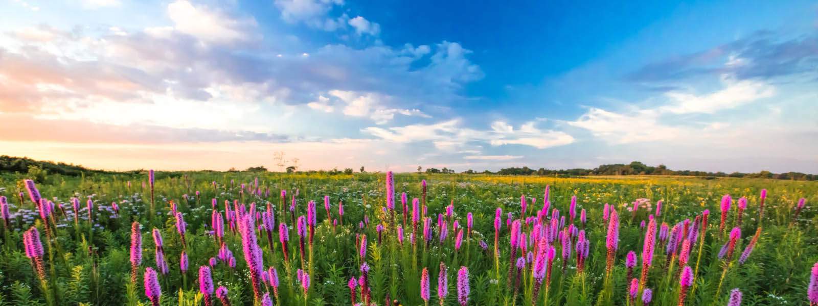 Where to Go Hiking Near Chicago | Neighborhoods.com